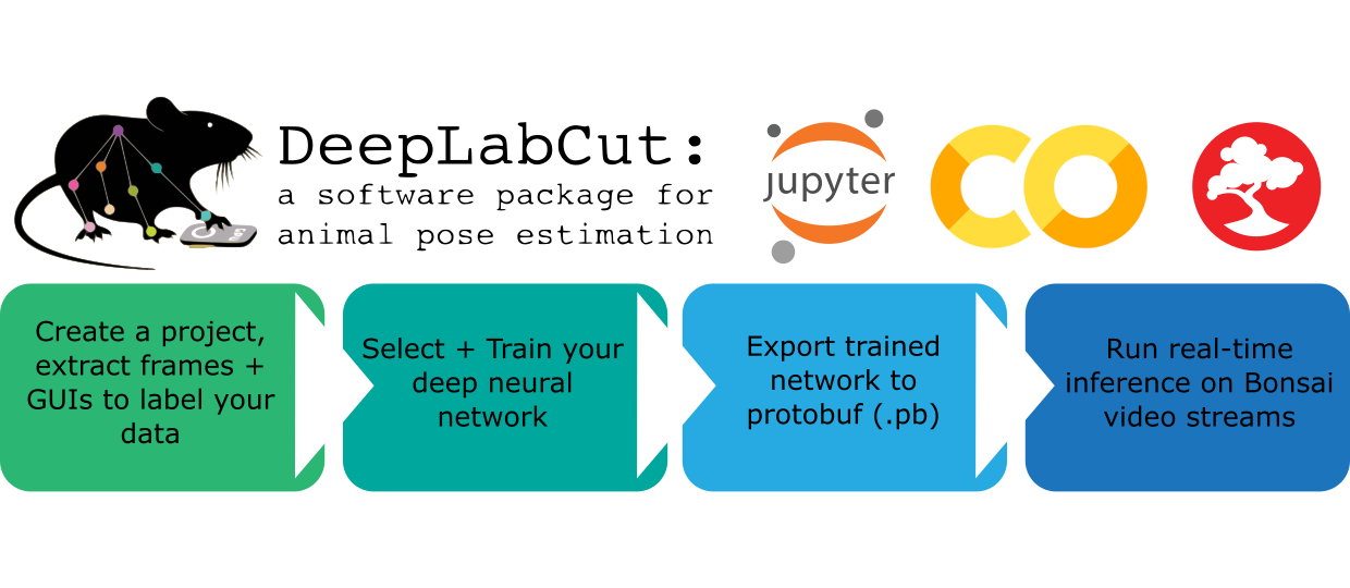 Bonsai + DeepLabCut